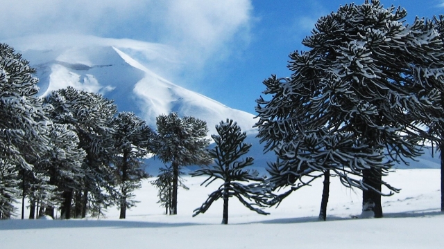 Ski Corralco – Chile | DreamSki Adventures